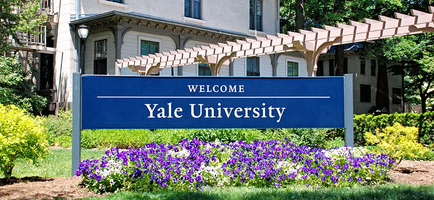 How Test Optional Policies Diminish University Authority